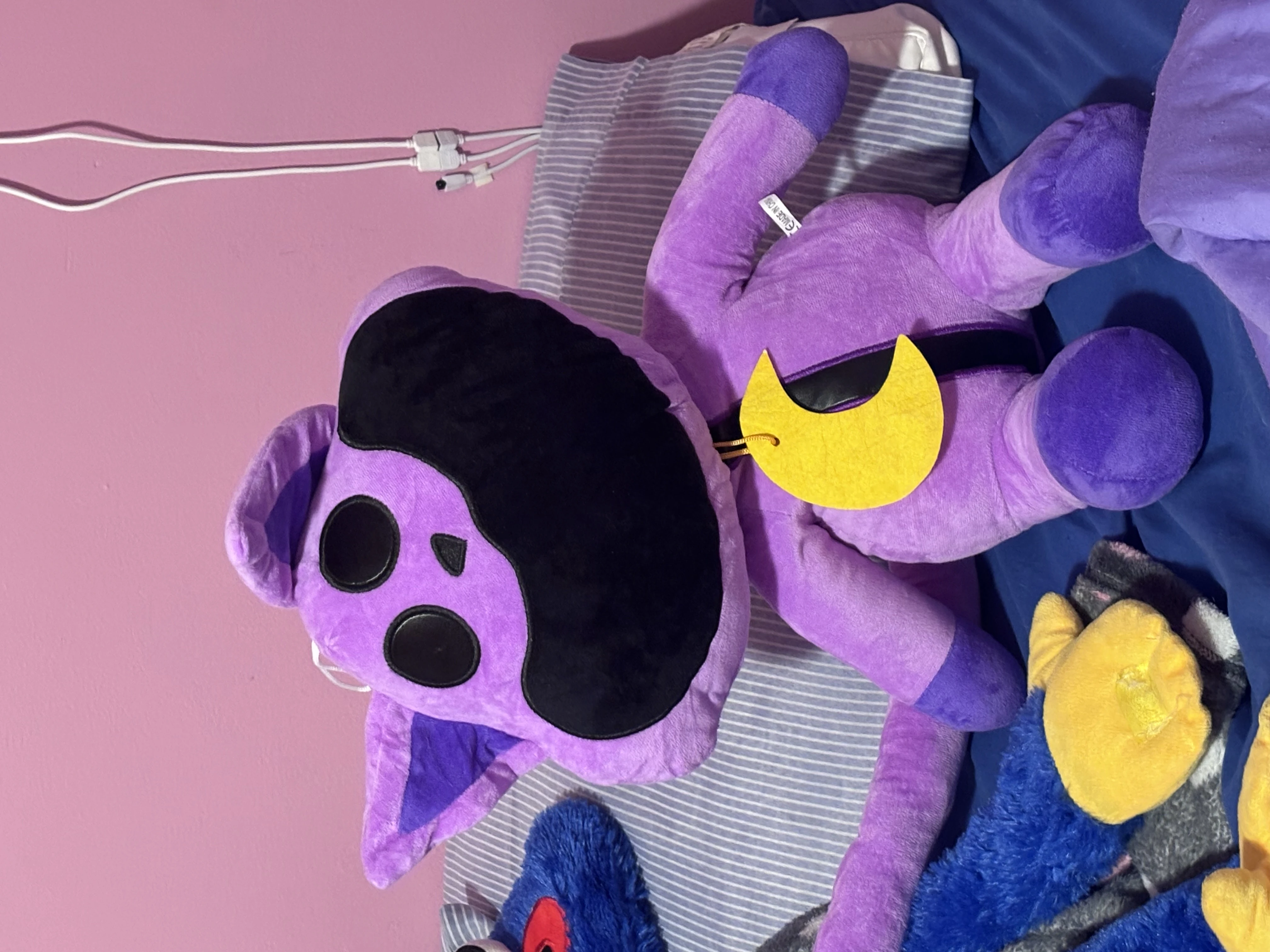 GIANT CATNAP 🌙💜 | Fandom