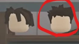 Is it just me or does everyone who plays vesteria have this hair ...