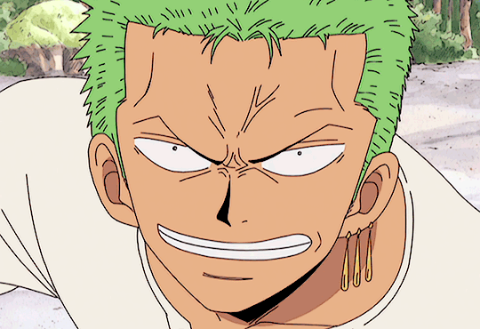 The Pre-Timeskip Roronoa Zoro Experience | Fandom