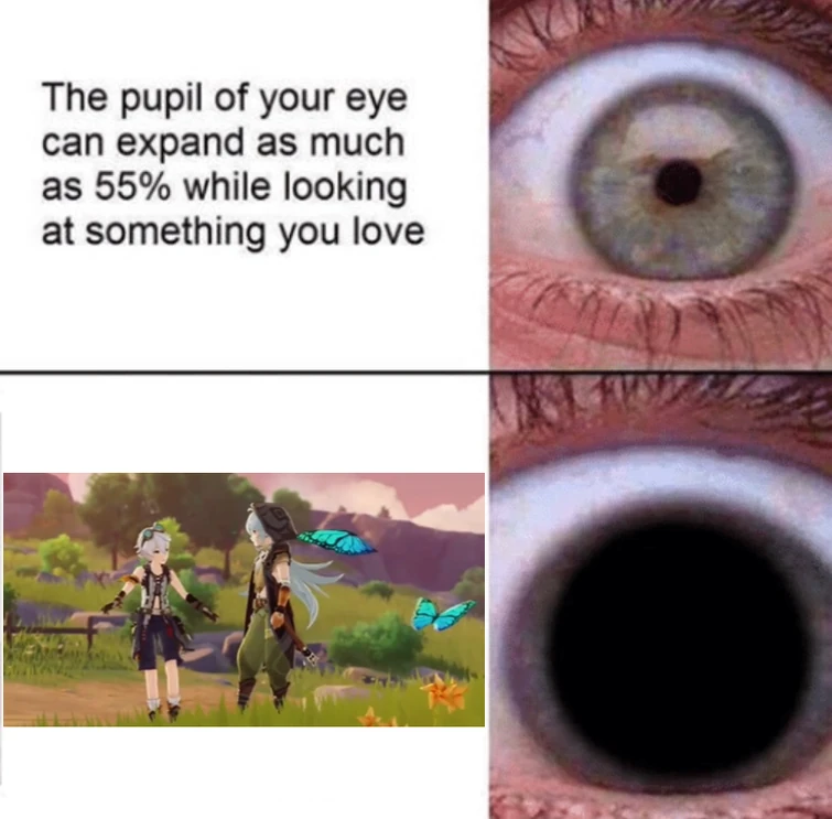 Shipping memes of course | Fandom