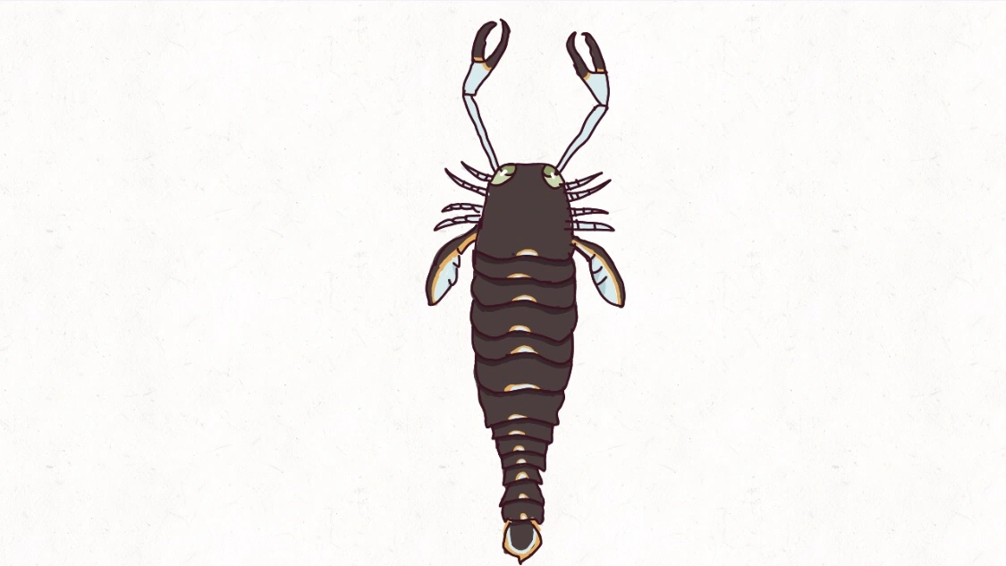 stylized pterygotus redraw | Fandom