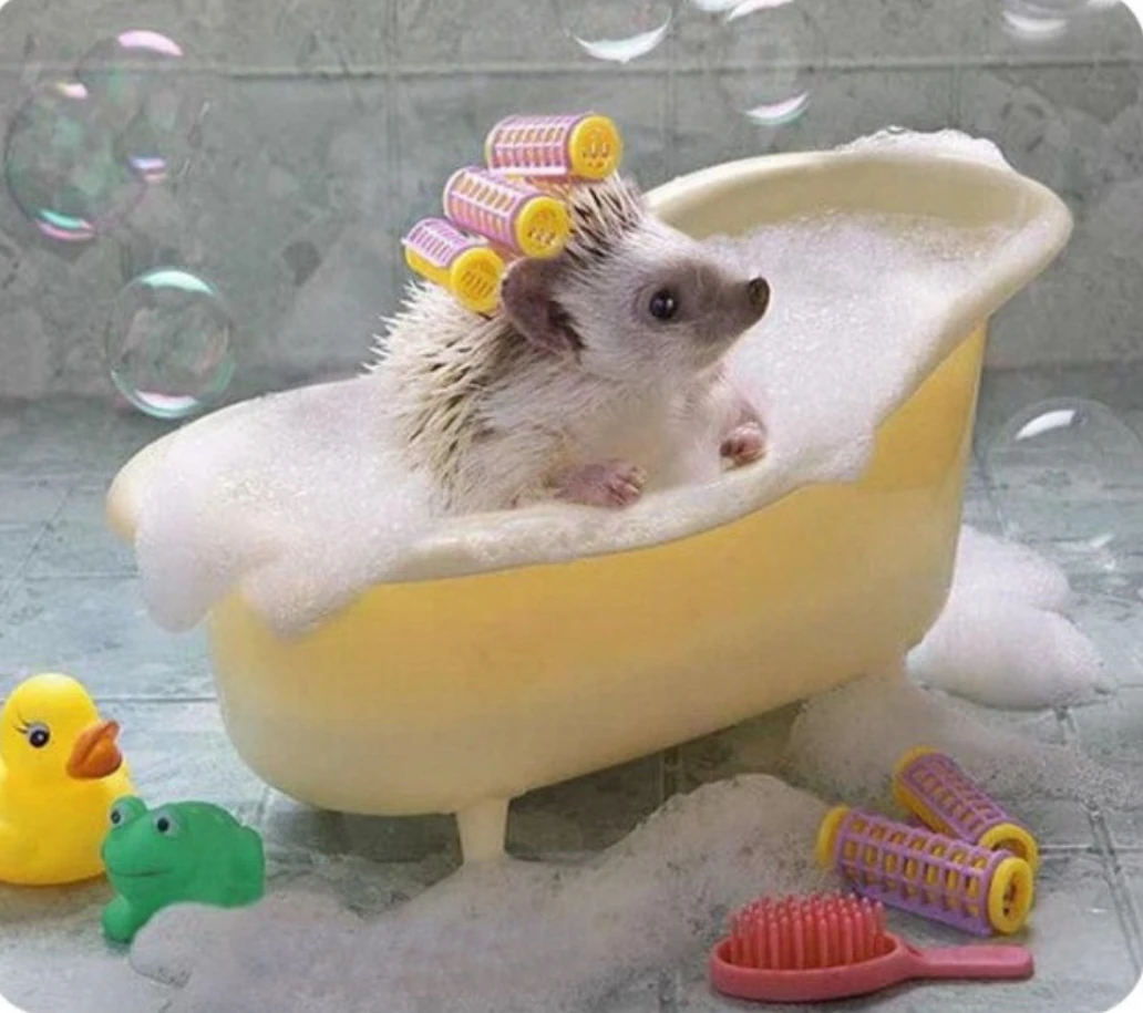 Value of Random Djaevelhest? | Fandom