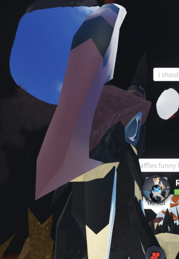 Random Screenshot Compilation. | Fandom