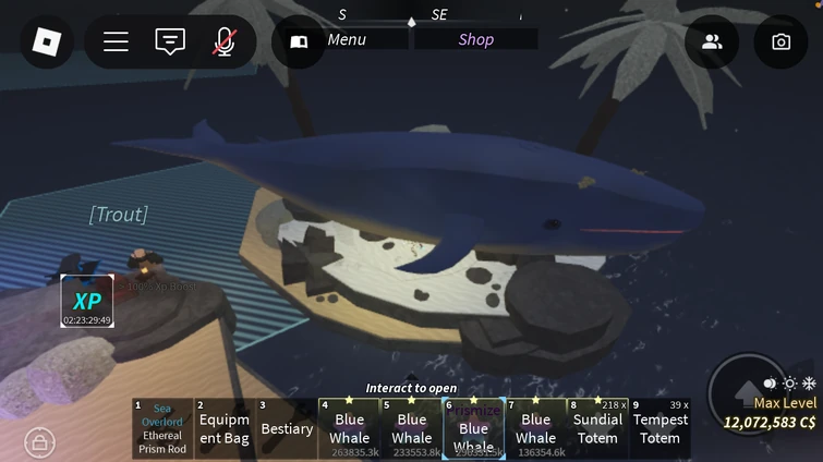 New Blue Whales | Fandom