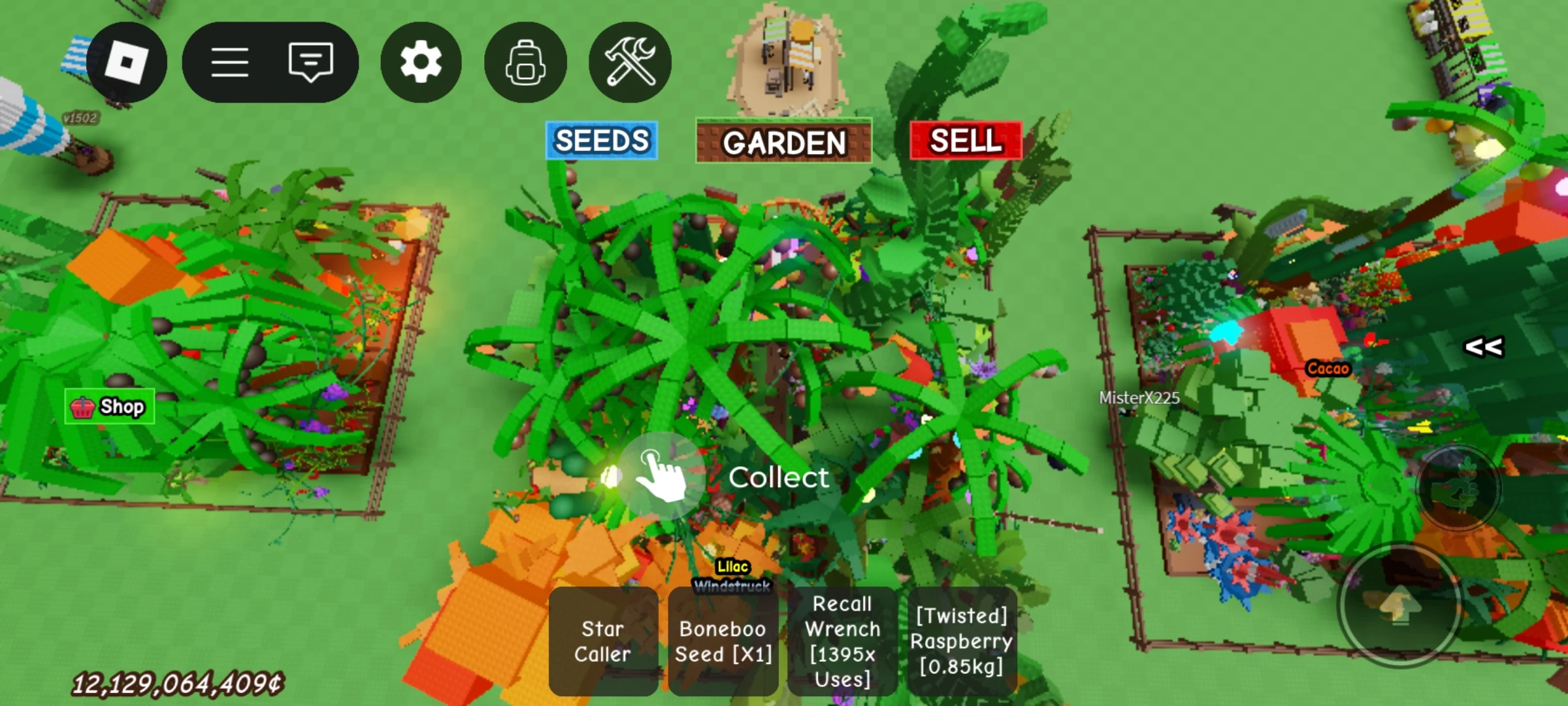 Grow a beanstalk | Fandom