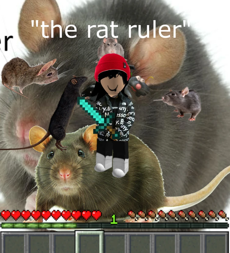 gimme the weirdest image in your camera roll and ill decide if i would ...