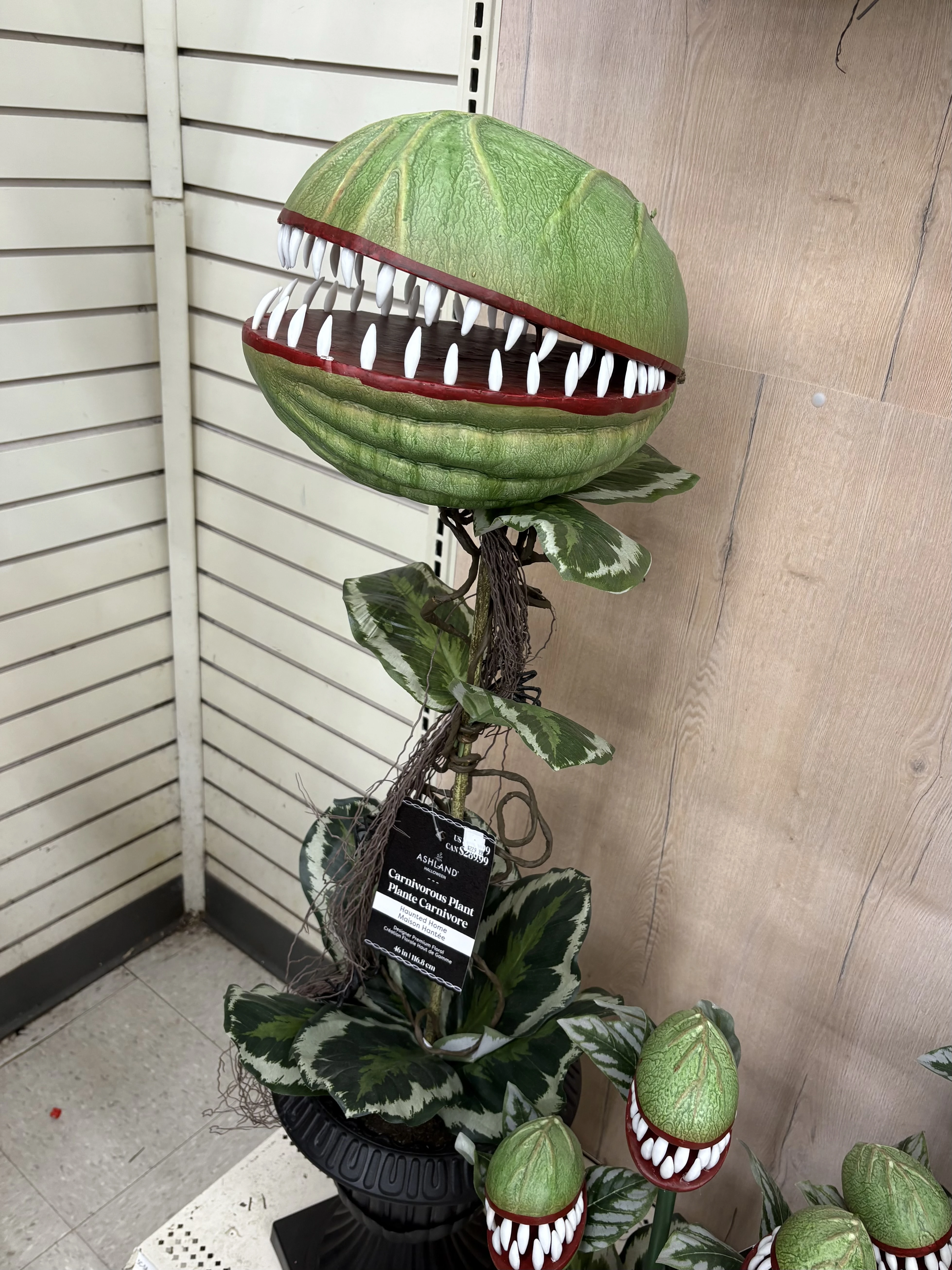 guys oh my god is that brad thaniyel aka griefer as the bubonic plant ...