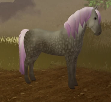 Can you spot the tb coat? (Easy/medium edition) | Fandom