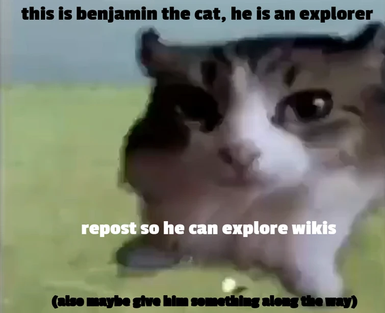 benjamin the cat has visited your wiki | Fandom
