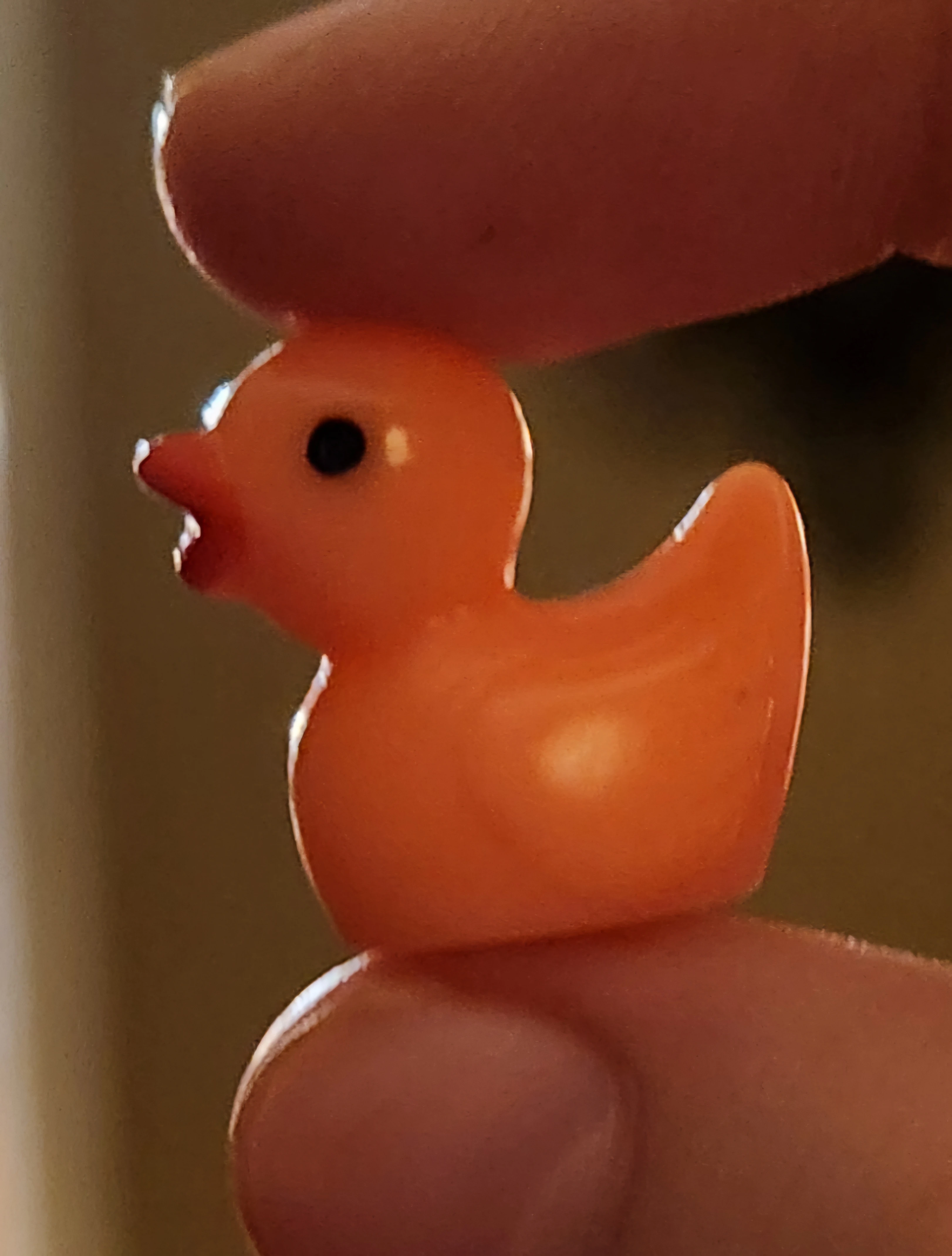 duckie | Fandom