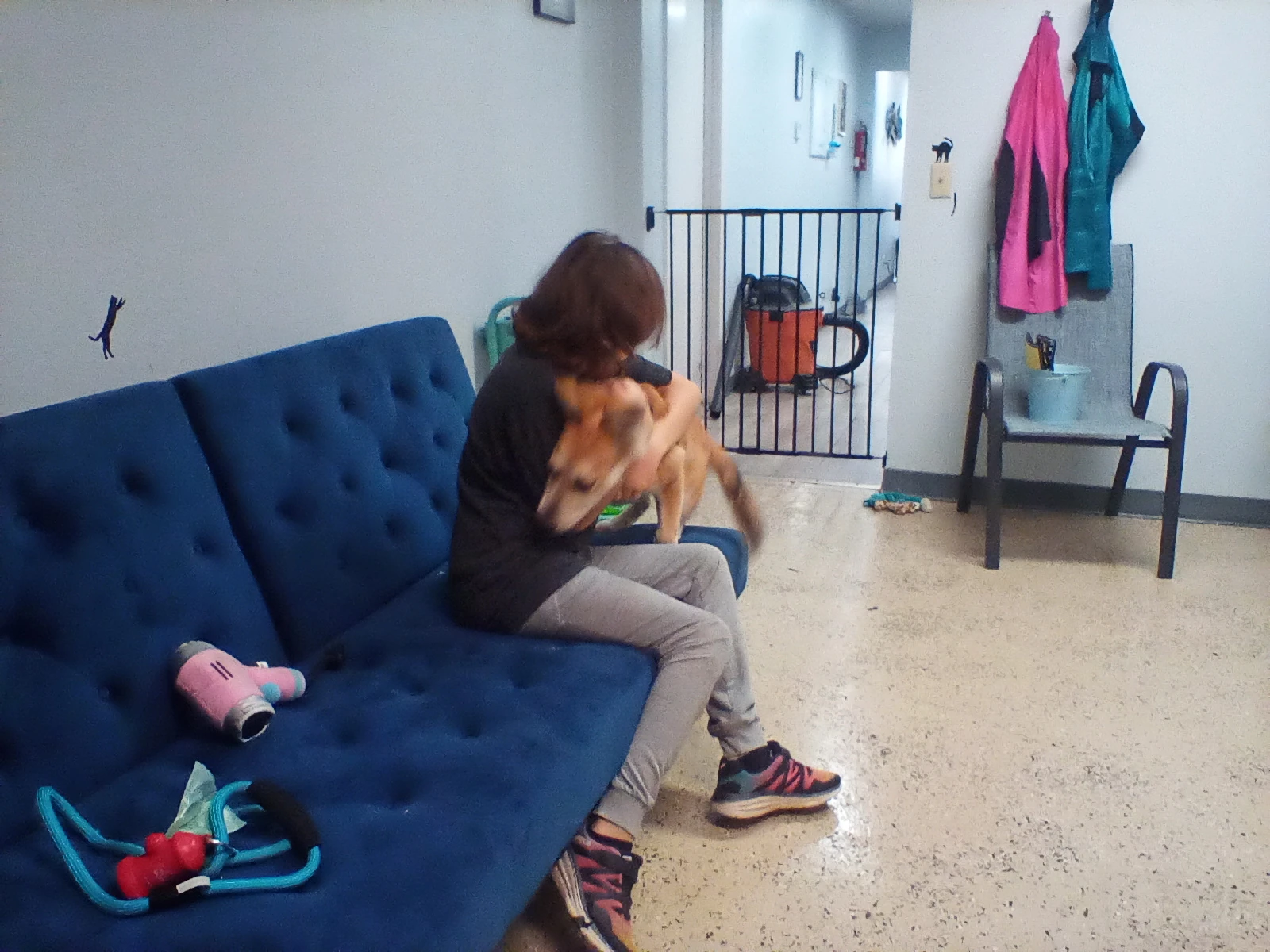 [IMPORTANT] info on Leli | Fandom