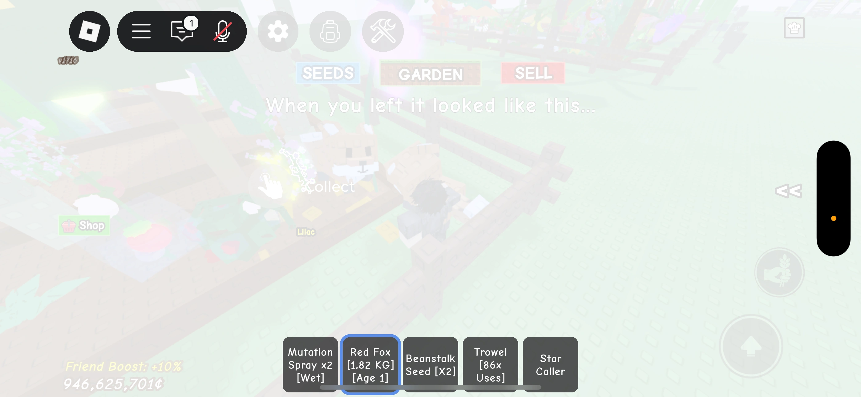 Hatched red fox!!! | Fandom