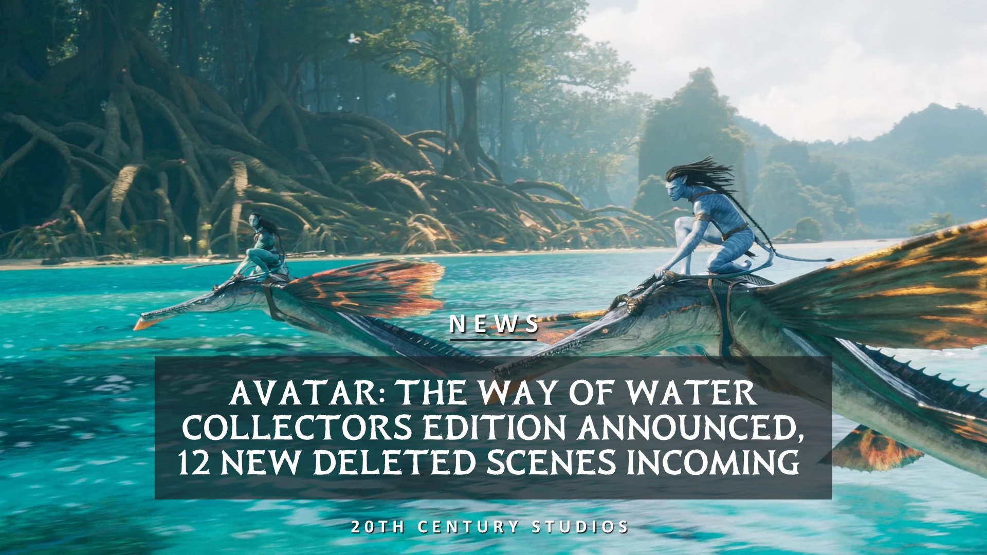 Avatar: The Way of Water Collecters Edition Revealed | Fandom