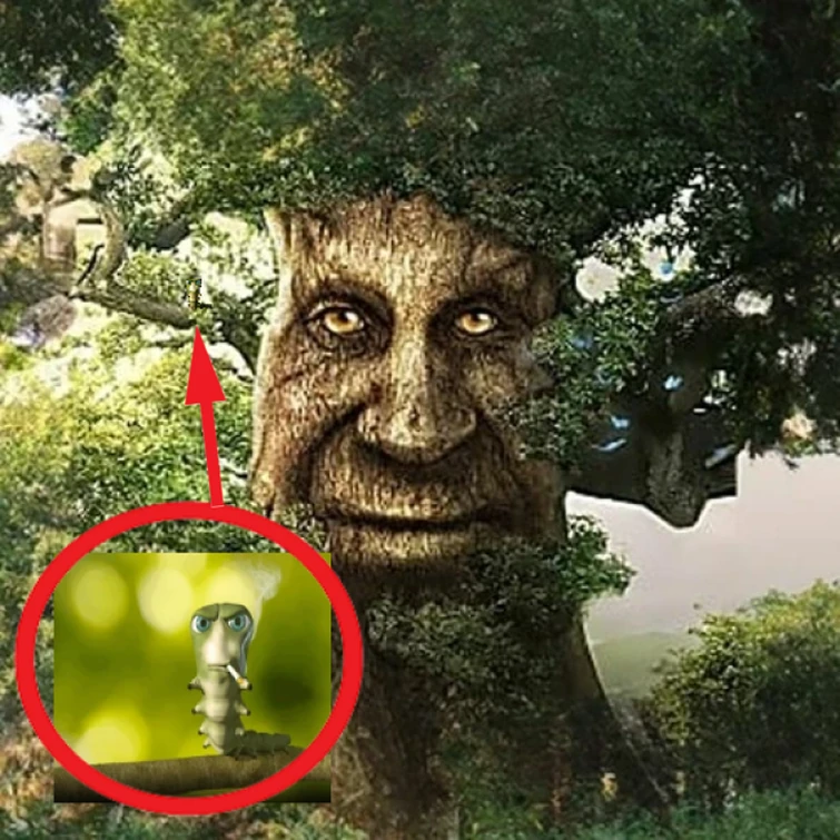 I look at wise mystical tree nextbot and I found out who live here (joke) | Fandom