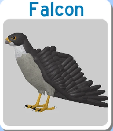 Discuss Everything About Feather Family Wiki | Fandom