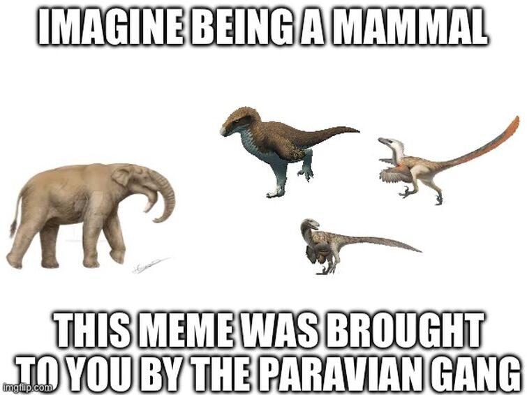 Meme I made for the Deinotherium vs Deinonychus war | Fandom
