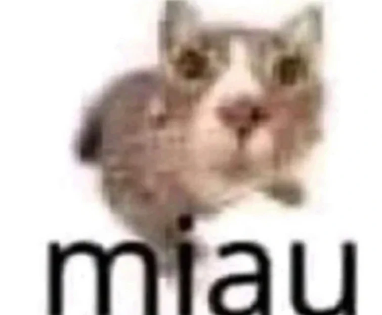 Remember, always be Miau. | Fandom
