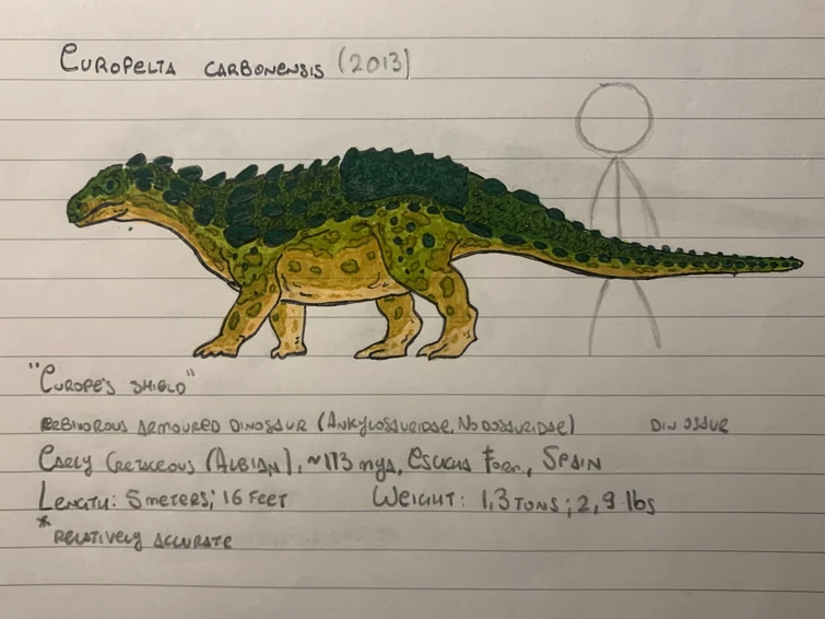 Europelta carbonensis paper drawing | Fandom