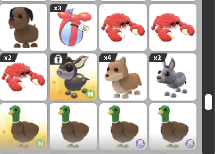 Discuss Everything About Adopt Me! Wiki | Fandom