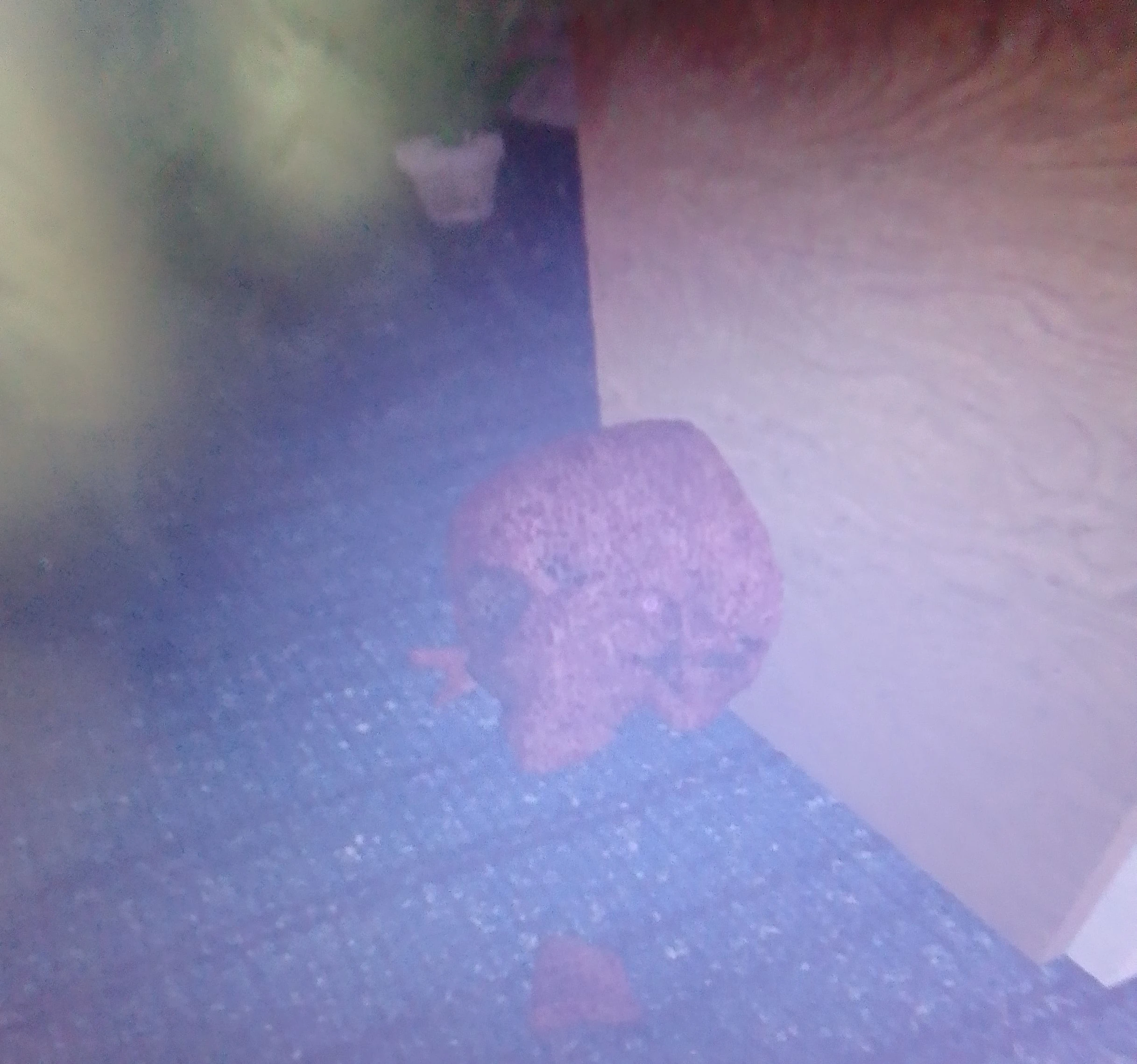 I reached A-400 and. | Fandom