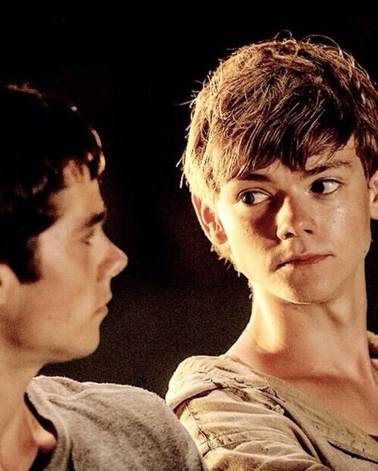 Discuss Everything About The Maze Runner Wiki | Fandom
