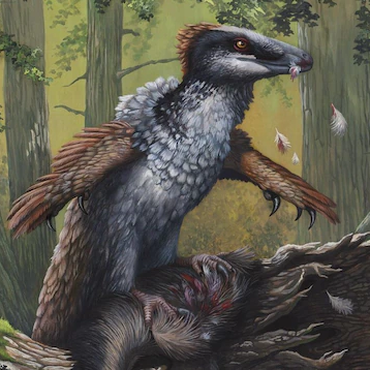 Discuss Everything About Dinopedia | Fandom