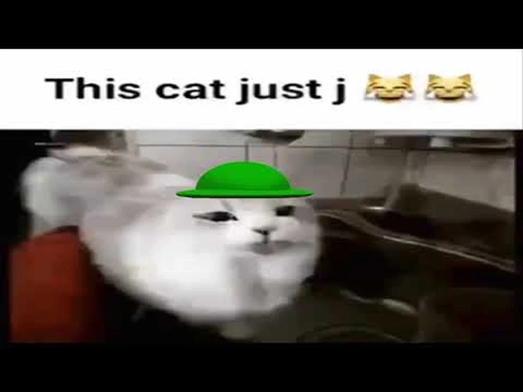expunged cat | Fandom