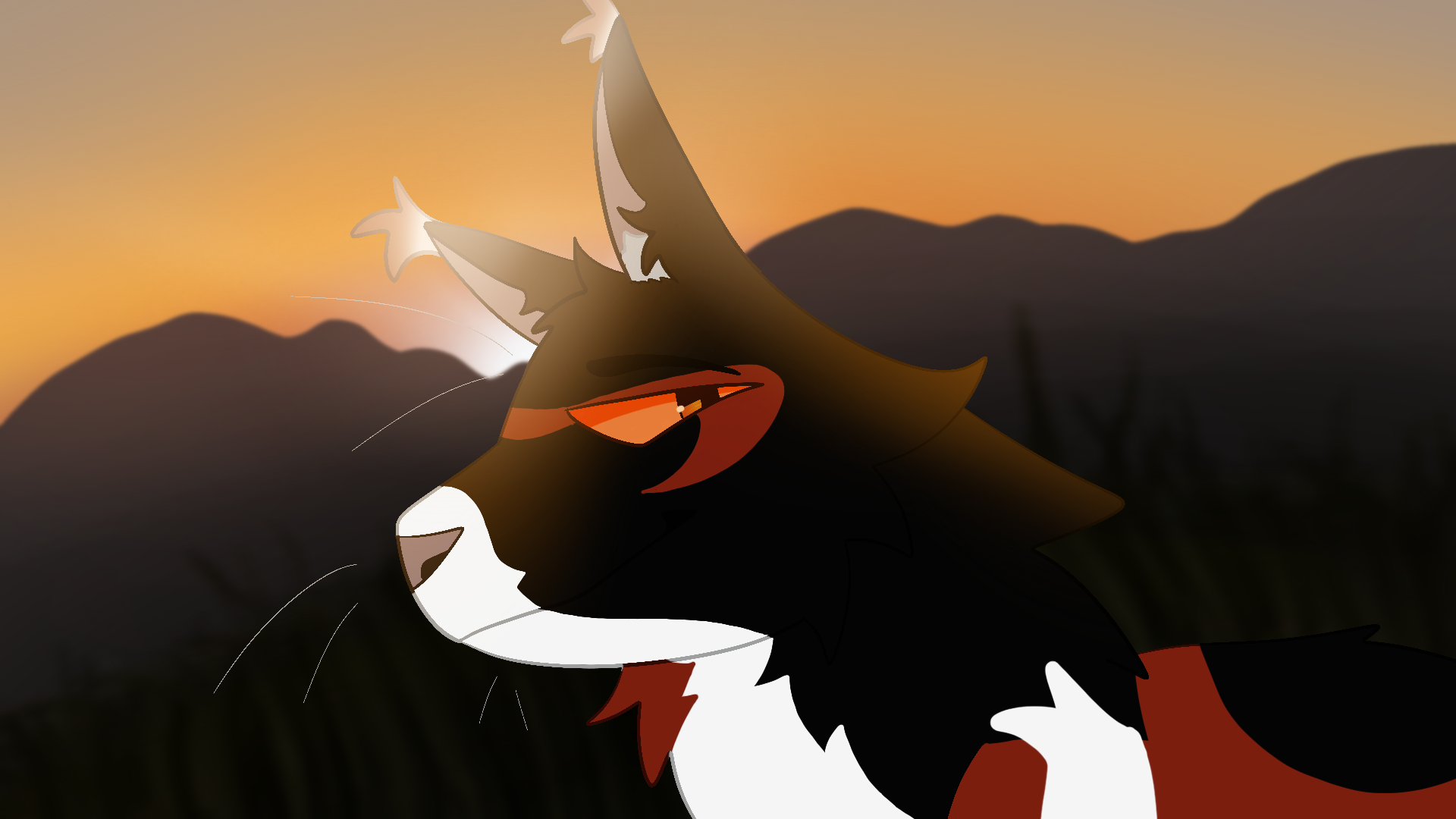 Sol (from warrior cats) | Fandom