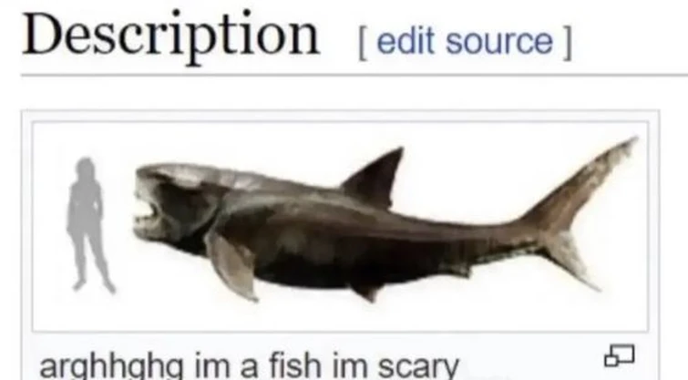 please ignore @/.sigmasnake* /srs | Fandom