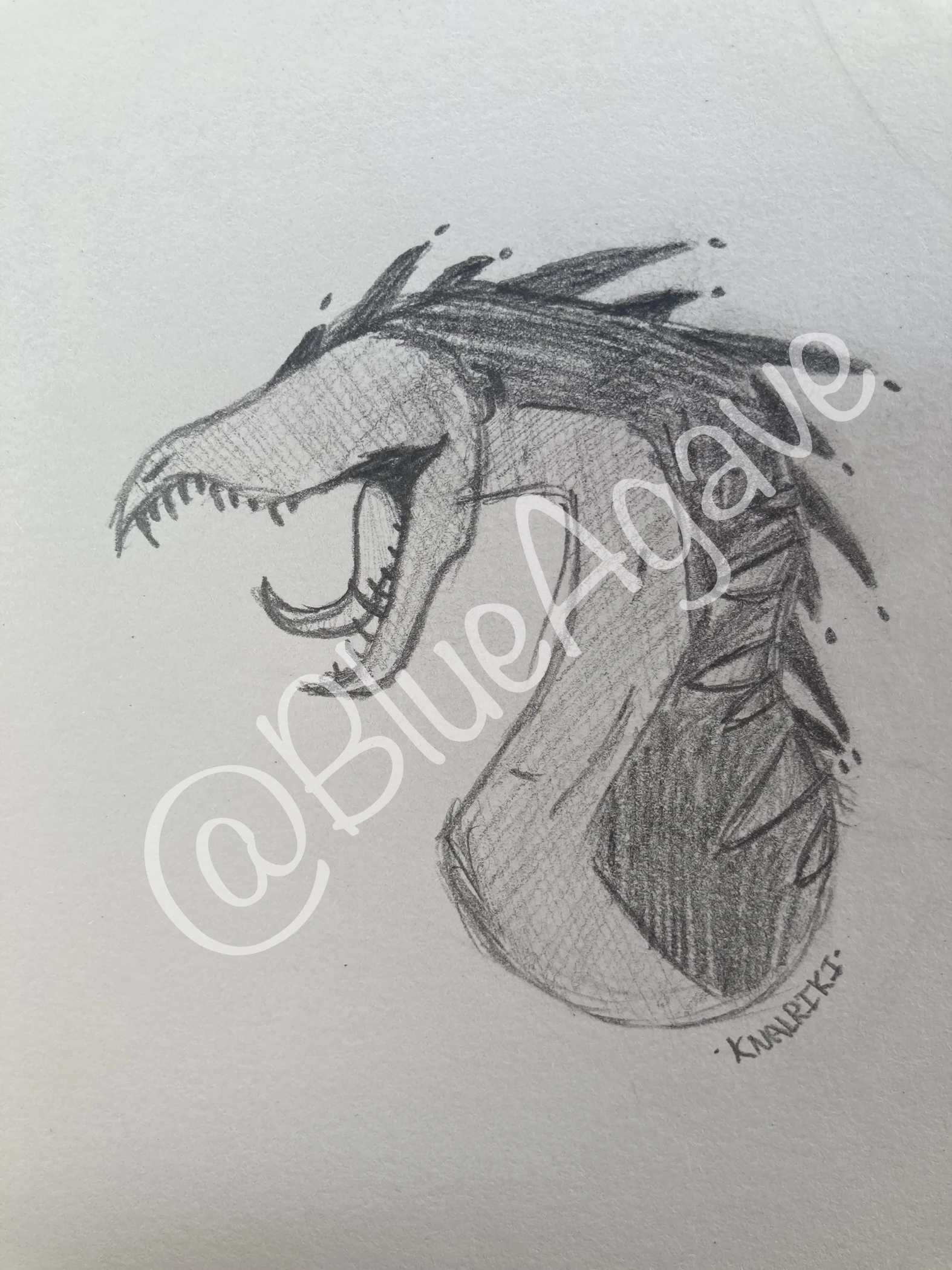 Knalriki Sketch | Fandom