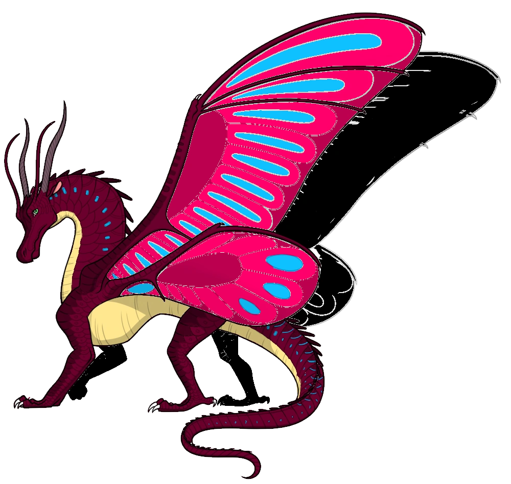 Silkwing raffle :) | Fandom