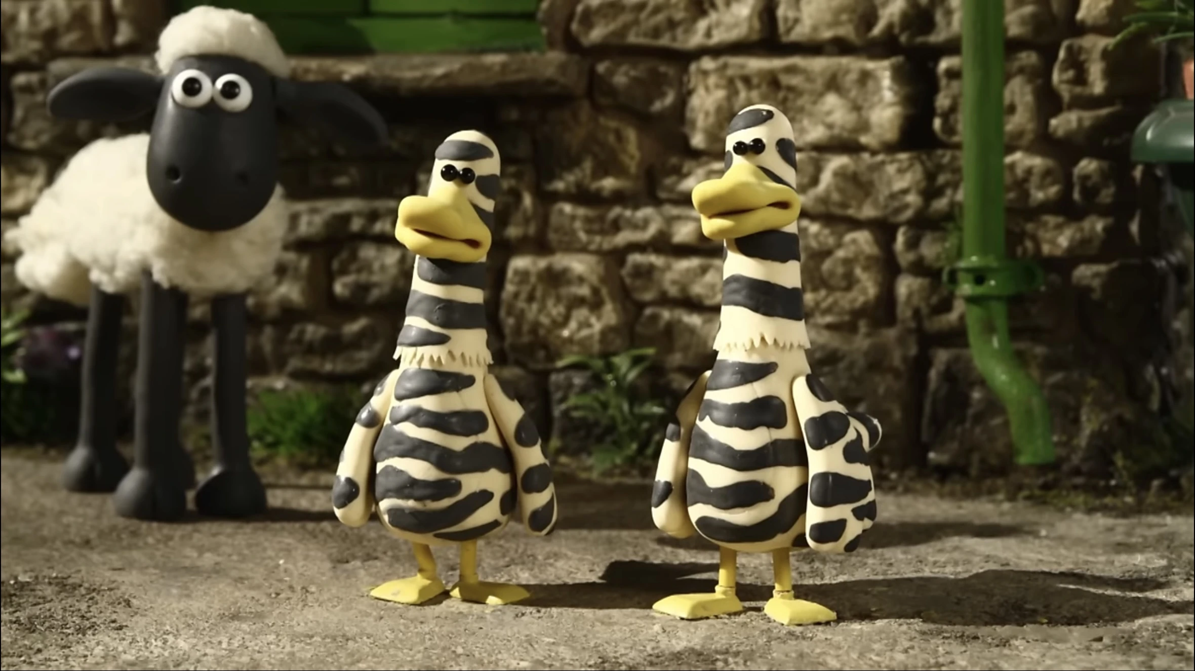 Zebra Ducks of the Serengeti | Fandom