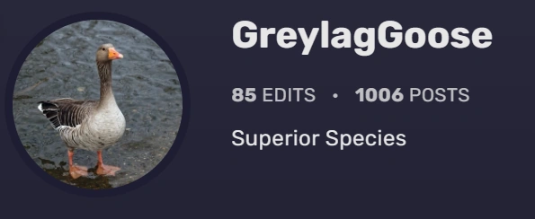 Guess Who Got 1000 Posts | Fandom