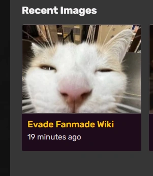 THAT SCARED ME WTH | Fandom