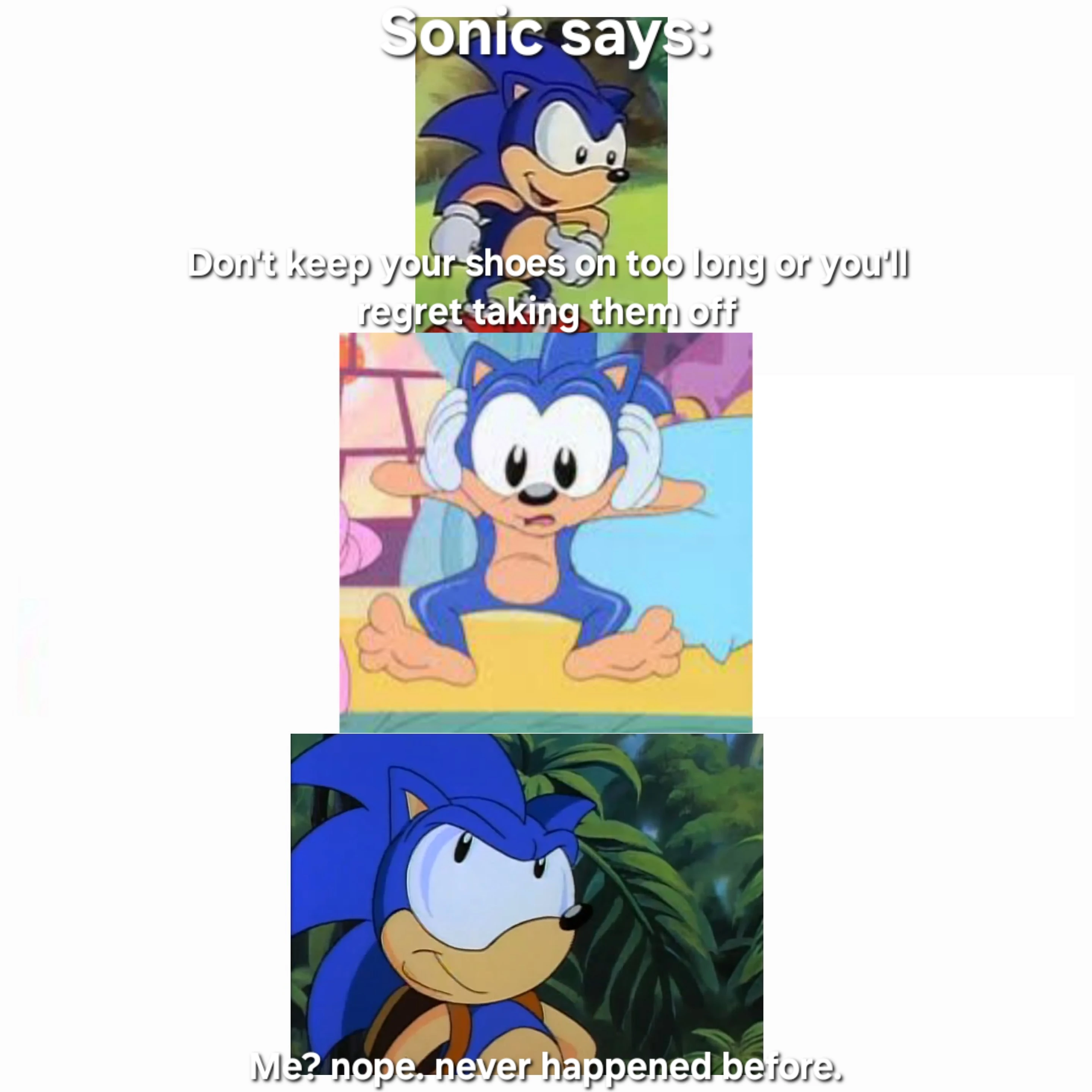 Sonic Memes | Fandom