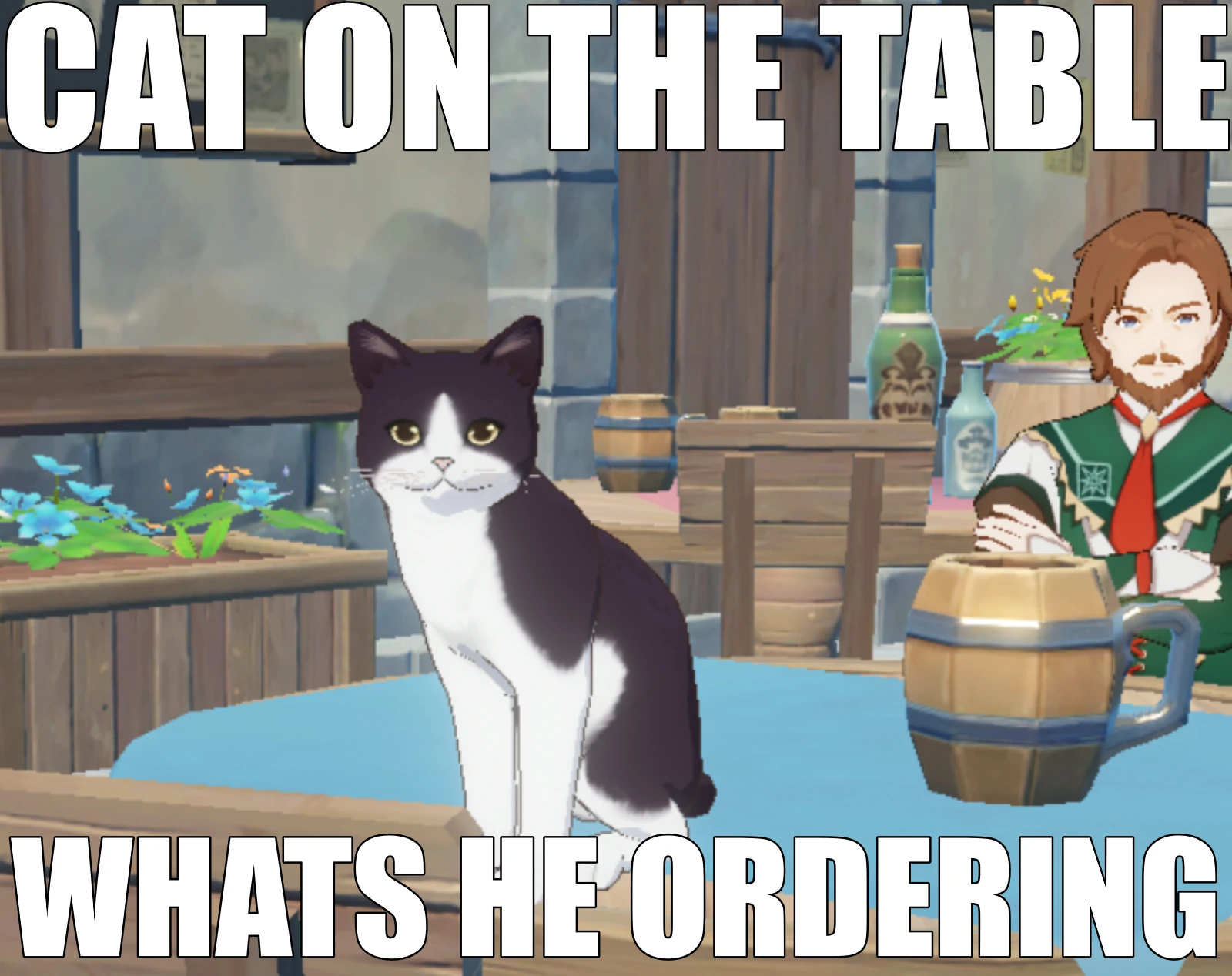 cat on the table | Fandom