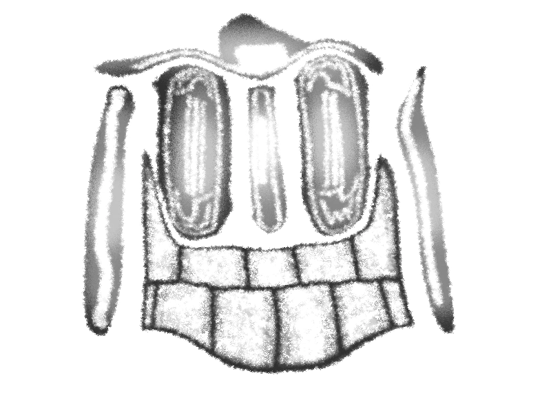 boy why he so gnarp narp | Fandom