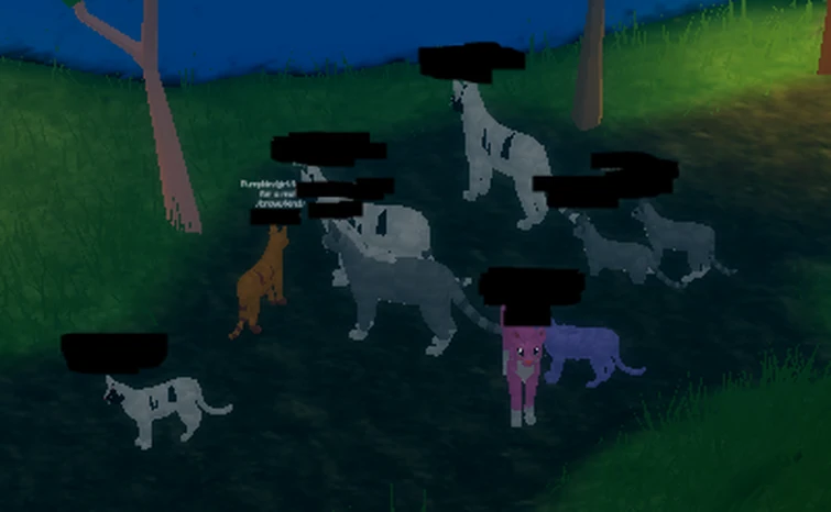 the best of claws: cat roleplay | Fandom