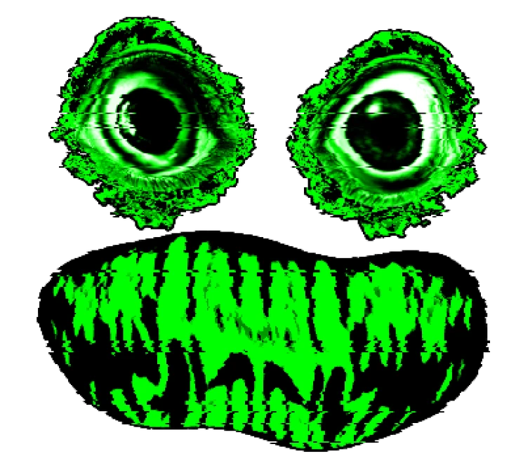 D section (the fake one) if it peaked even more | Fandom