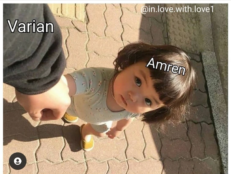 Acotar and Tog memes | Fandom