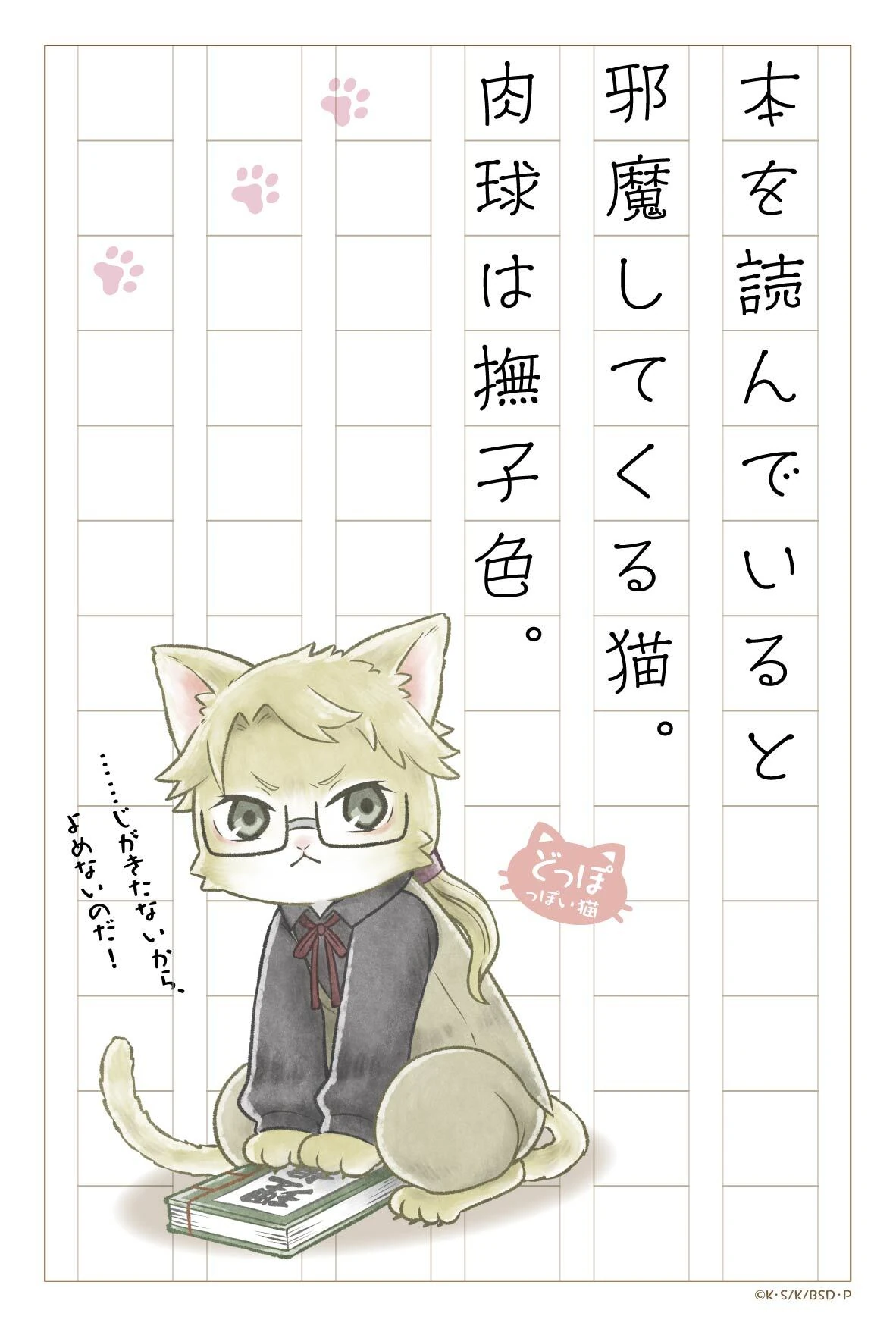 Bsd as cats | Fandom