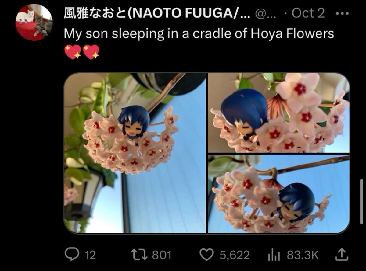 naoto fuuga is my favorite person | Fandom