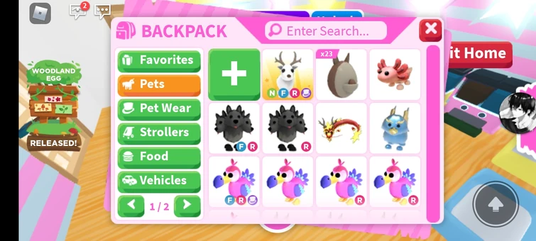 Discuss Everything About Adopt Me! Wiki | Fandom