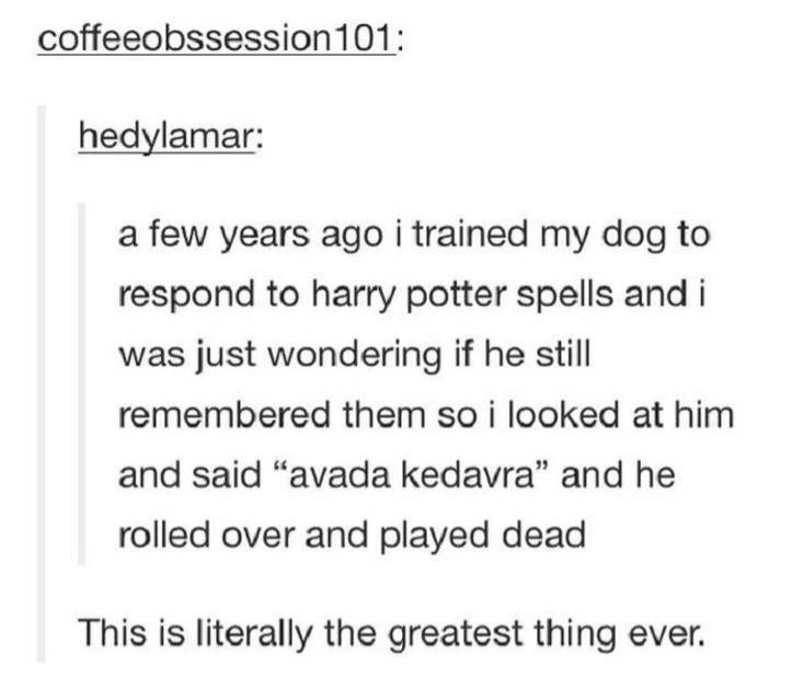 But yes of course I have trained my doggo for that | Fandom
