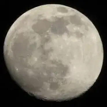 Discuss Everything About .squiddt absolute domain Wiki | Fandom