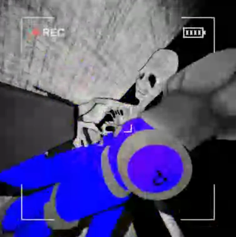 Discuss Everything About Content Warning Wiki | Fandom