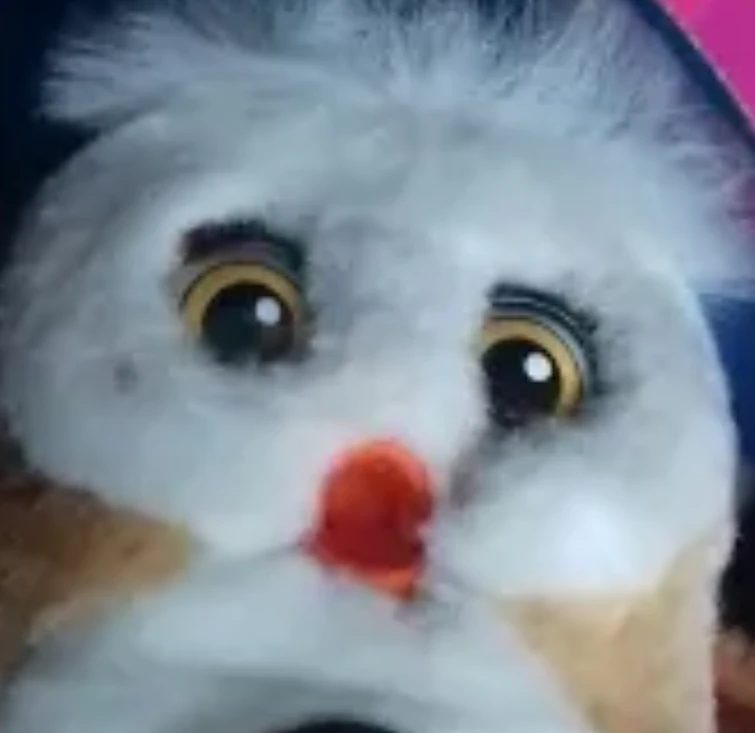 Collection of shocked Furbys | Fandom