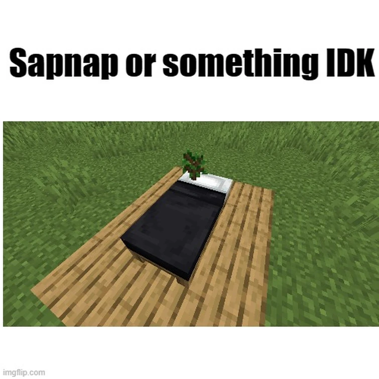 DSMP MEMES, YAY! | Fandom