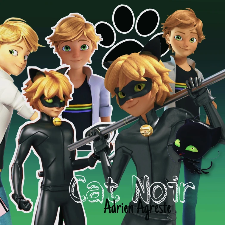 Cat Noir Picsart🐈‍⬛ | Fandom