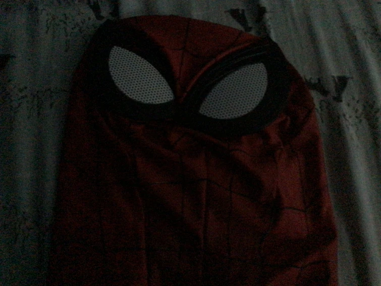 Look at this Spider-Man mask I made | Fandom